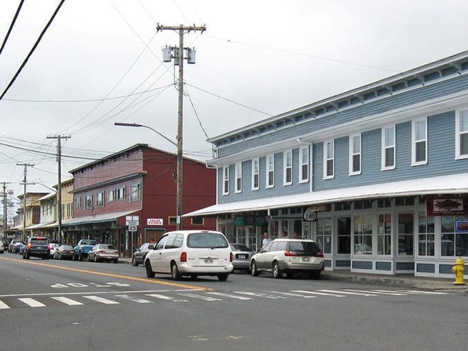 Honokaʻa's vintage main street buildings stand proudly colorful, where history meets affordability in the most charming possible way imaginable.