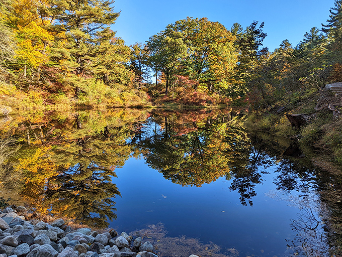 Fall's fiery reflection doubles the show. Maudslay's ponds capture autumn's masterpiece from above and below.
