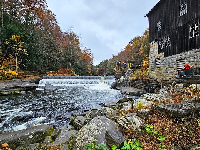 McConnells Mill's historic charm meets rushing waters. Where Pennsylvania's industrial past meets natural beauty.