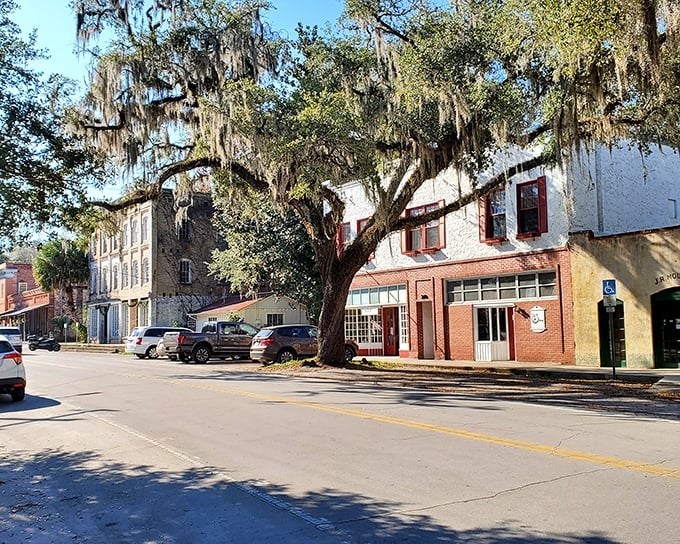 Micanopy's massive oak trees drape Spanish moss over the streets like nature hung up her best curtains for company.