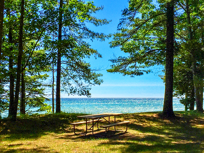 Paradise found! Newport State Park's pristine shoreline offers the perfect picnic spot where pine trees meet Lake Michigan's crystal waters.