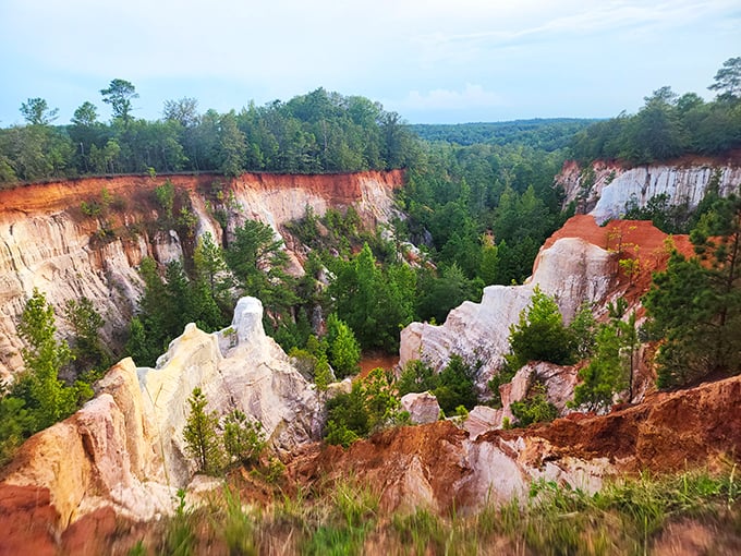 Providence Canyon's painted walls reveal Georgia's own Grand Canyon, where erosion created accidental art from the red clay soil.