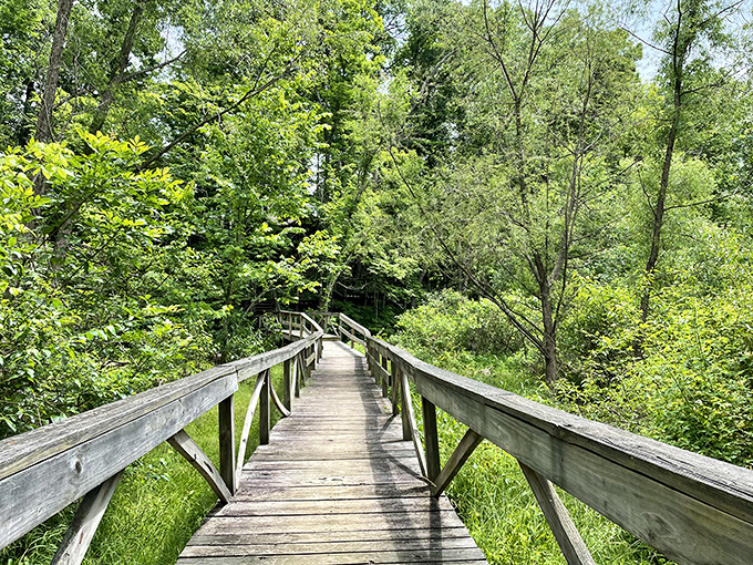 This wooden boardwalk leads to adventures that your grandkids will remember for decades.