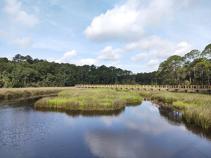 Shepard State Park: Coastal marsh meets forest in this hidden gem. Mother Nature showing off her talent for perfect landscape design.