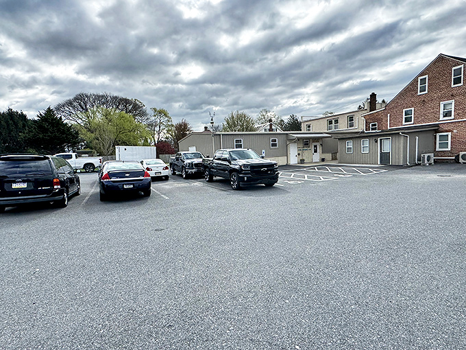 Brick buildings house local businesses that have served generations with handshakes instead of contracts.