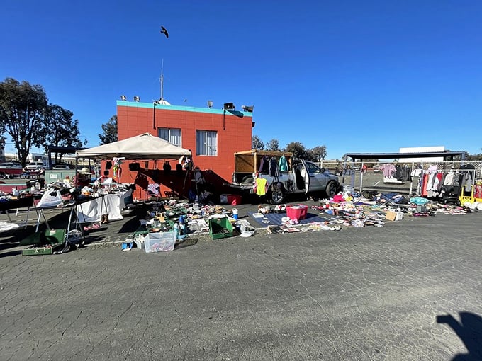 Solano Swap Meet offers no-frills shopping where the real treasures hide in plain sight among everyday items.