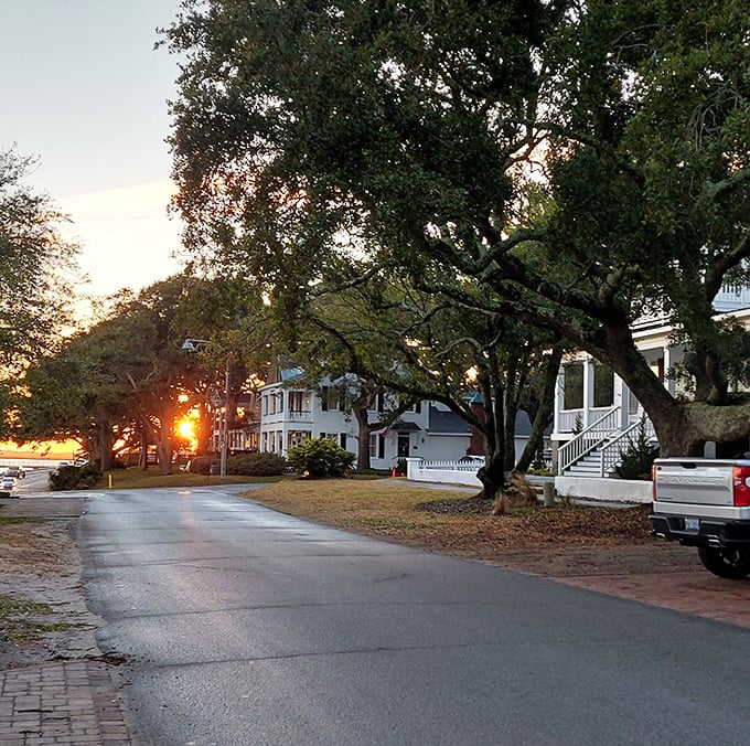 Coastal charm flows where river meets ocean and Spanish moss drapes like nature's elegant curtains.