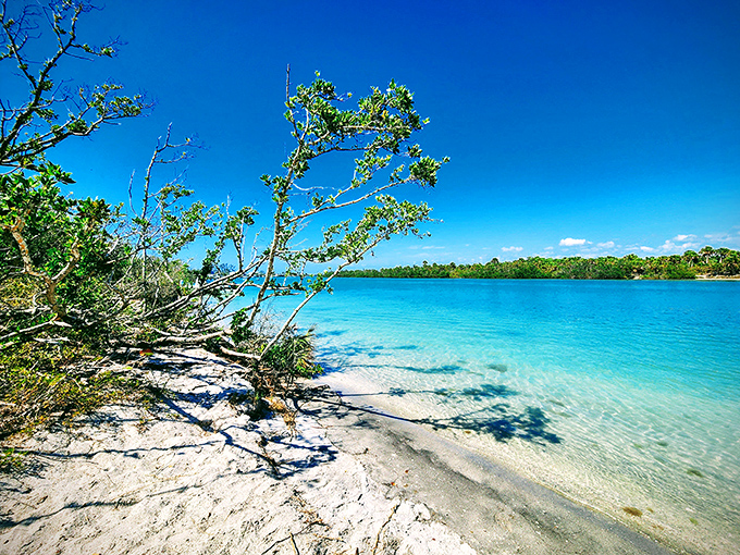 White sand beaches stretch endlessly, making this barrier island feel like your own private tropical paradise.