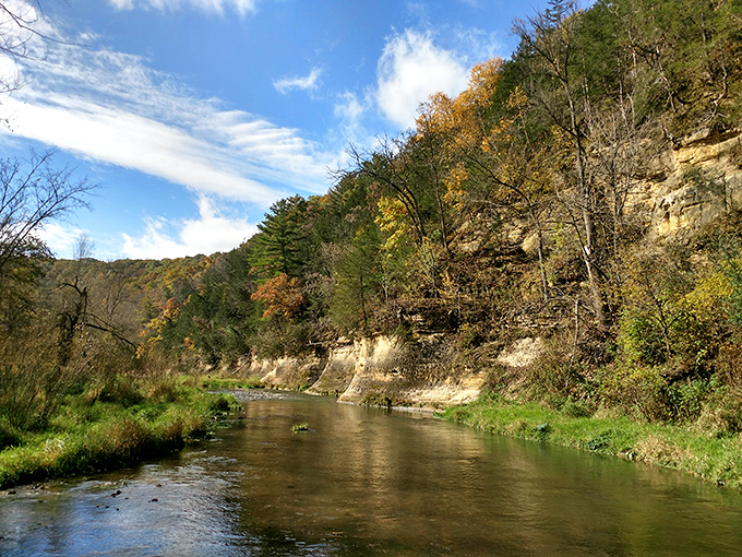 Whitewater State Park's limestone bluffs and crystal-clear stream create a postcard-perfect scene that no filter could improve.