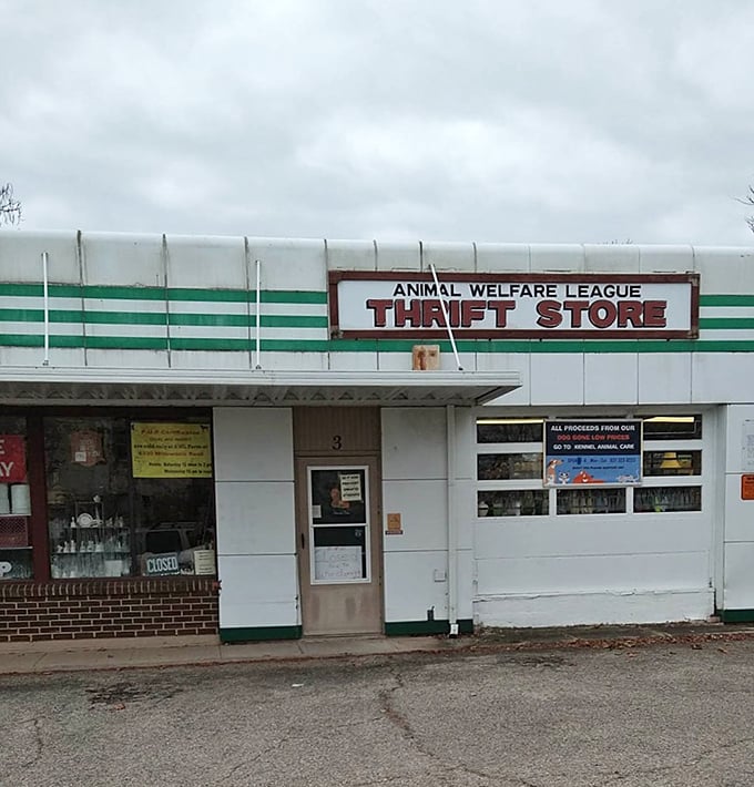 The Animal Welfare League Thrift Store may be small, but its impact on four-legged friends is anything but tiny.