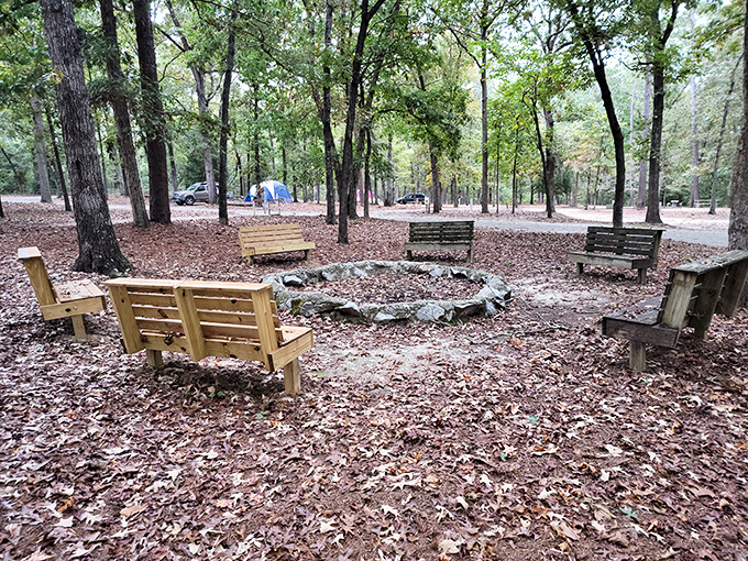 Rustic camping among tall pines where your phone finally admits defeat and stops searching.