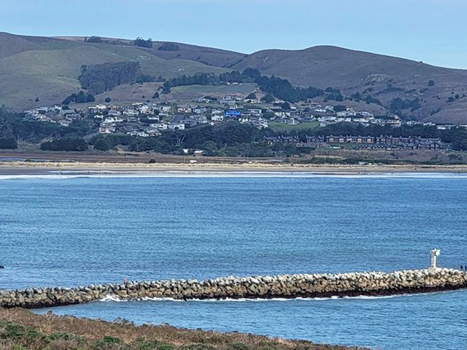 Where coastal marshlands meet hillside homes, creating a landscape so peaceful you can practically hear your blood pressure dropping.