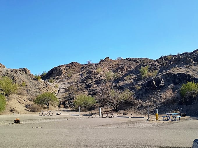 Picnic tables with a view at Buckskin Mountain &ndash; where lunch comes with a side of "how-did-we-get-so-lucky?"