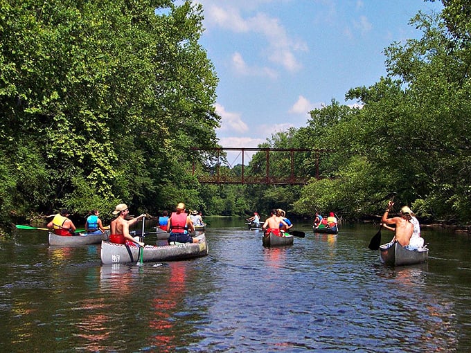 Sun-drenched days in Campbellsville mean grabbing your paddle and joining friends for a scenic canoe trip down the winding river.