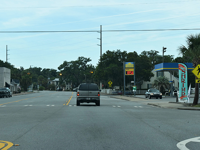 In Darien, rush hour means three cars at the intersection and nobody honking. The coastal Georgia version of traffic therapy!