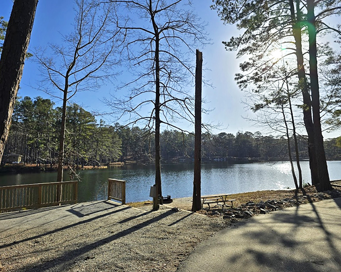 F.D. Roosevelt State Park's tranquil lake mirrors the surrounding forest. A simple wooden dock invites quiet contemplation of nature's beauty.