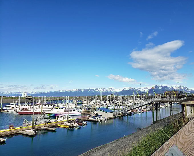 Homer's harbor gleams like polished glass, reflecting mountains that seem close enough to touch from your boat.
