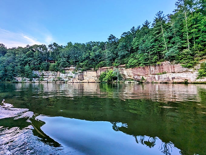 Towering trees create a natural campground at Lake Malone, where stargazing and storytelling await under Kentucky skies.