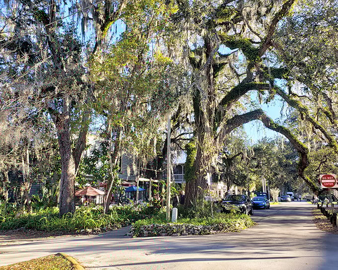 The moss-draped trees create a natural cathedral over Micanopy's main street, where time moves slower than anywhere else in Florida.