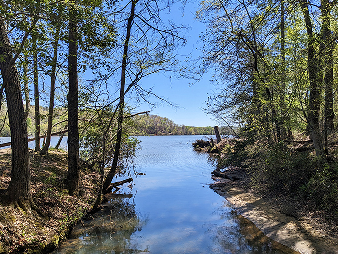 Lake Tillery sparkles like scattered diamonds from this peaceful Uwharrie Mountains viewpoint.