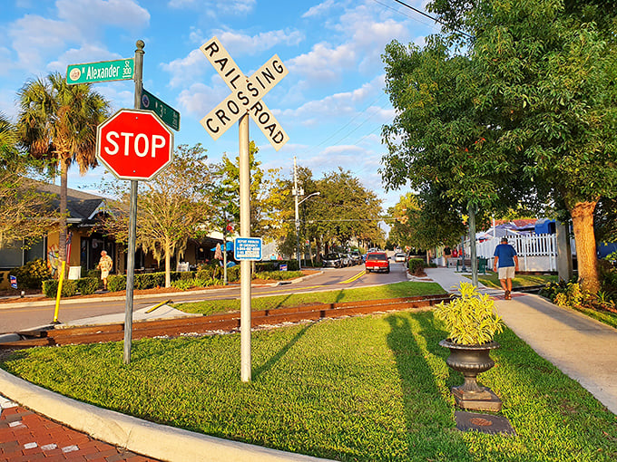 The intersection of charm and history in downtown Mount Dora, where every tree-lined path and vintage detail hints at stories waiting to be discovered.