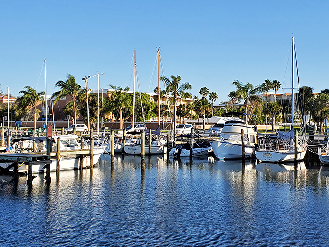 Safety Harbor's marina combines natural beauty with small-town charm. The perfect place to watch dolphins play as the sun sets.