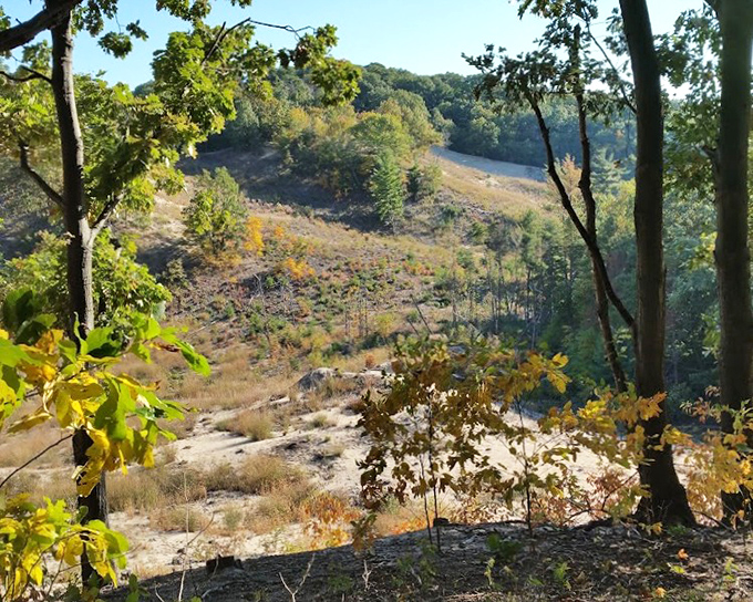 The rolling dunes at Saugatuck &ndash; Michigan's version of the Sahara, just with more trees and fewer camels.