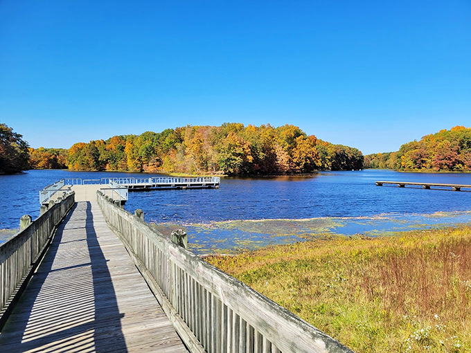 Shakamak's fishing piers stretch into calm waters, promising relaxation and maybe dinner. The original farm-to-table experience!
