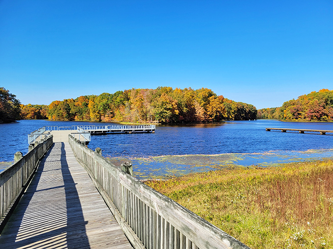 Autumn transforms this waterscape into a masterpiece that belongs in an art gallery.