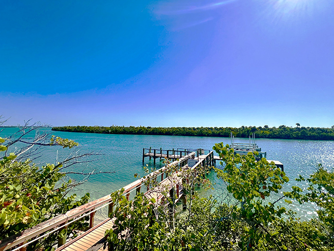 Lemon Bay's calm waters create the perfect launching pad for kayak adventures and dolphin encounters.