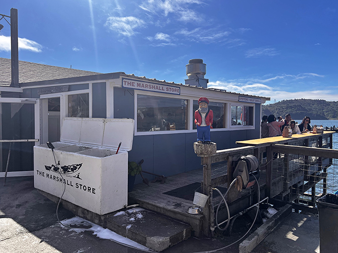 Perched right on Tomales Bay, this humble seafood spot offers oysters with a side of breathtaking views.