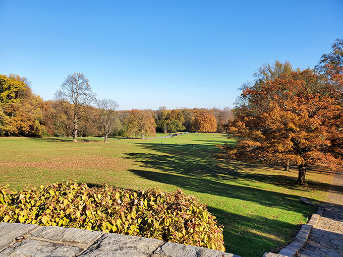 Wilmington State Parks' rolling meadows offer the perfect urban escape, proving paradise can exist just blocks from downtown.