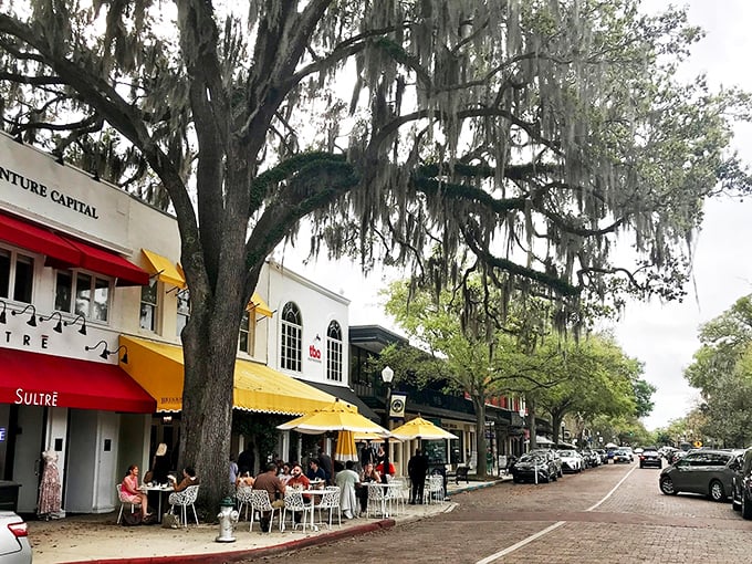 Massive oak trees create natural canopies over Winter Park's sidewalks, where outdoor dining feels like a scene from a romantic comedy.