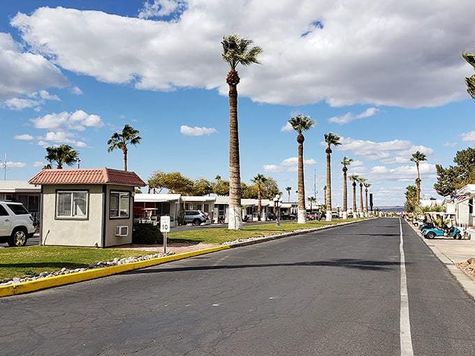 Palm-lined streets in Yuma offer a perfect snowbird paradise where winter visitors have been escaping cold weather for generations.
