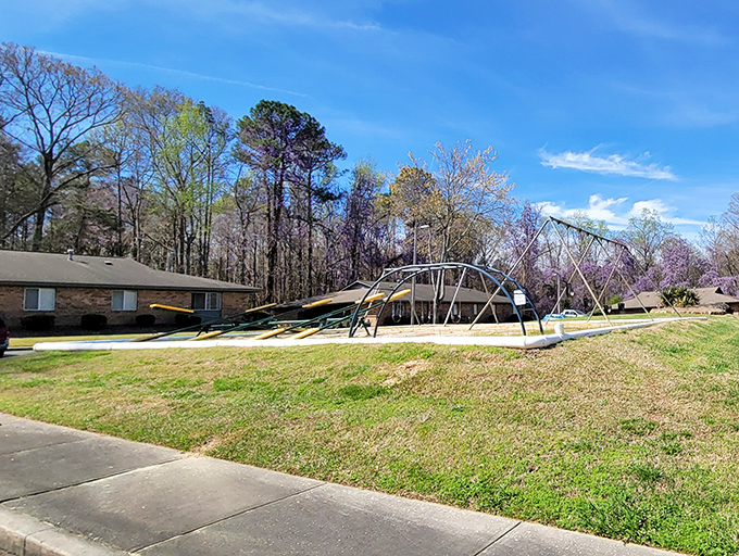 Mother Nature's fury captured in stillness. Even in disaster, there's a strange, haunting beauty to these twisted playground structures against the spring sky.