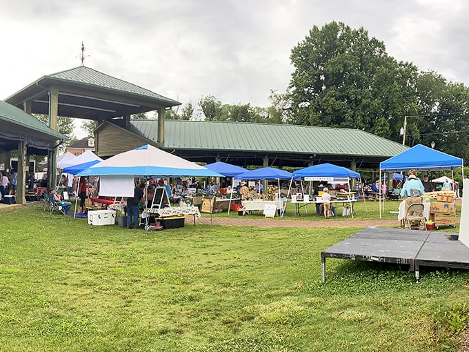 The Farmers Market transforms an ordinary pavilion into a bustling hub of local commerce and conversation. Where tomatoes have provenance and strangers become friends.
