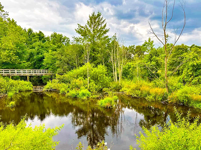 Adkins Arboretum's reflective waters mirror the surrounding greenery, creating twice the natural beauty for half the admission price of big-city gardens.