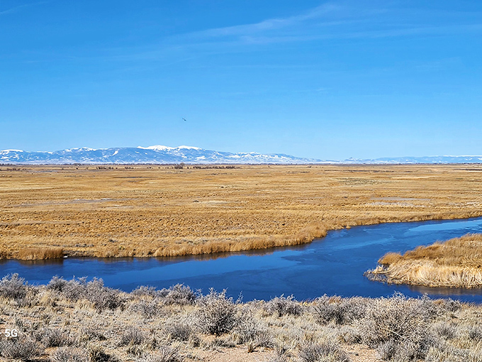 The San Luis Valley stretches toward distant mountains, a landscape so vast it makes your problems feel delightfully insignificant. Nature's perspective adjustment at work.