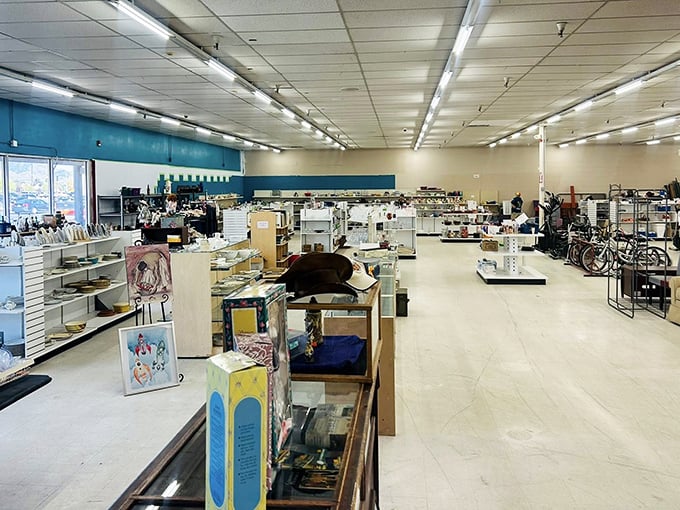 The vastness is both intimidating and thrilling. Like an archaeological dig where the artifacts are someone's 1990s kitchen appliances.