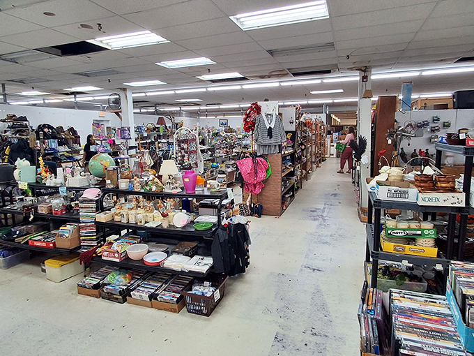 The view down any aisle promises discoveries. Like archaeological layers, each shelf represents a different era of American life.