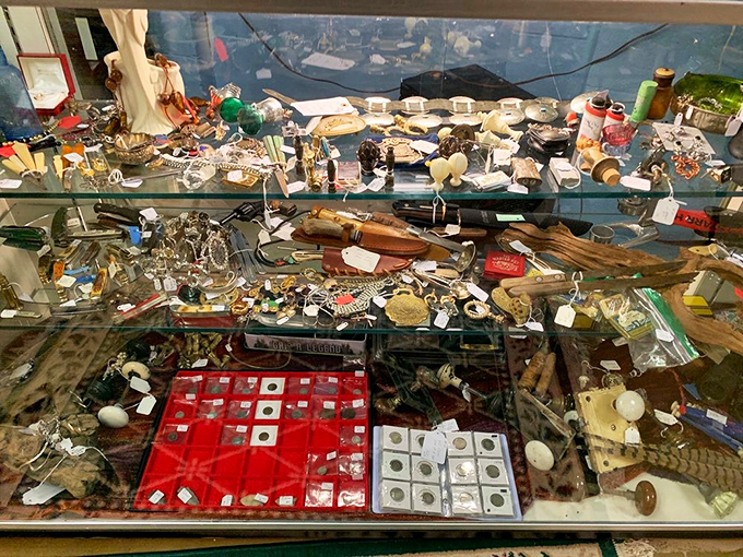 A treasure hunter's dream case—where coins, trinkets, and curiosities compete for your attention like kids in a candy store.