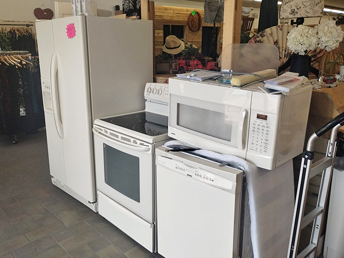 White appliances lined up like hopeful contestants on a dating show, each one ready for a second chance at kitchen glory.