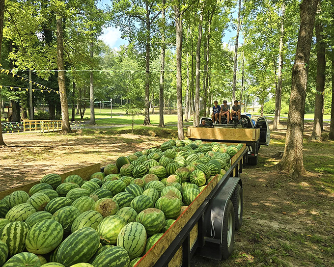 A trailer loaded with watermelons is Alabama's version of a luxury food truck&mdash;no fancy packaging required for nature's perfect dessert.