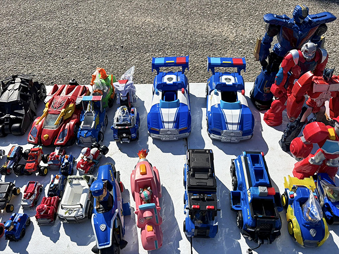 Today's collectible toys are tomorrow's treasures. This array of action figures might contain that missing piece from your childhood collection.