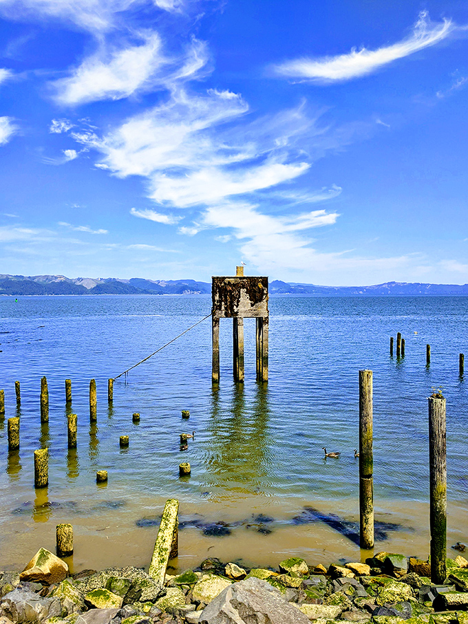Tranquility reigns at the river's edge, where weathered pilings stand like sentinels, marking the passage of time and tide in this historic port town.