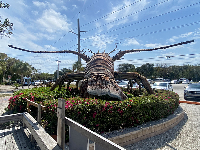 The rear view is just as impressive as the front&mdash;this lobster doesn't have a bad angle, unlike most of us after a week of Key lime pie.