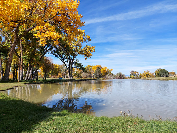 Baldridge Park's autumn display transforms an ordinary pond into a masterpiece of golden reflections that would make even Monet reach for his paintbrush.