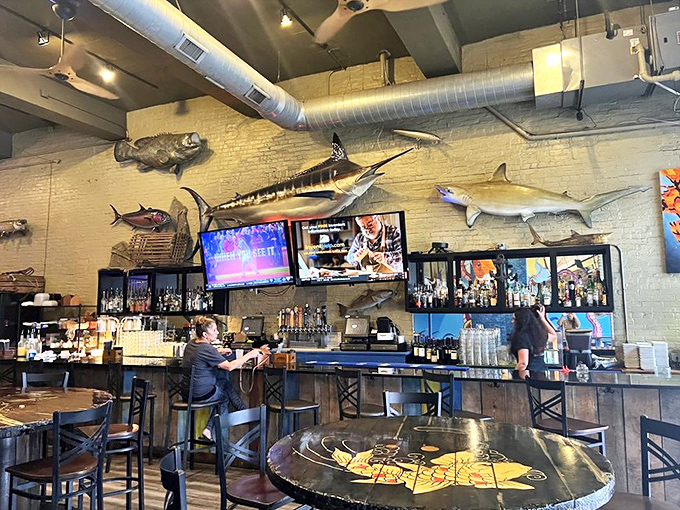 The bar area showcases trophy fish that seem to be saying, "You could be eating my cousins right now." And they'd be right!