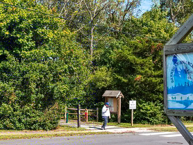 The Barnegat Branch Trail beckons outdoor enthusiasts with well-marked paths through lush greenery&mdash;nature's gym membership with no monthly fees.
