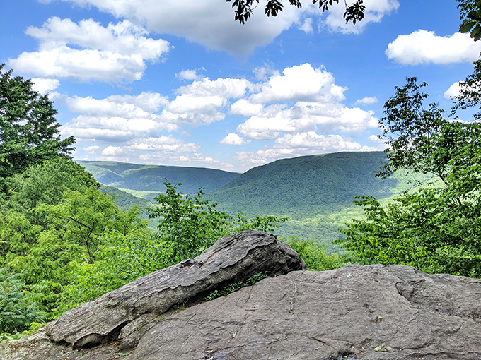 Baughman Rock offers views that make the climb worthwhile, even when your knees file formal complaints.